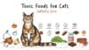 Foods Toxic To Cats: The Ultimate Safety Guide