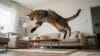 Do Cats Land On Their Feet? Science Behind The Reflex